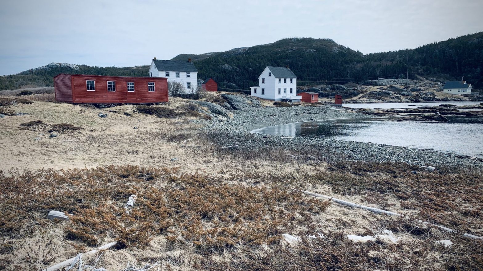 Salvage Trails – Ode to Newfoundland