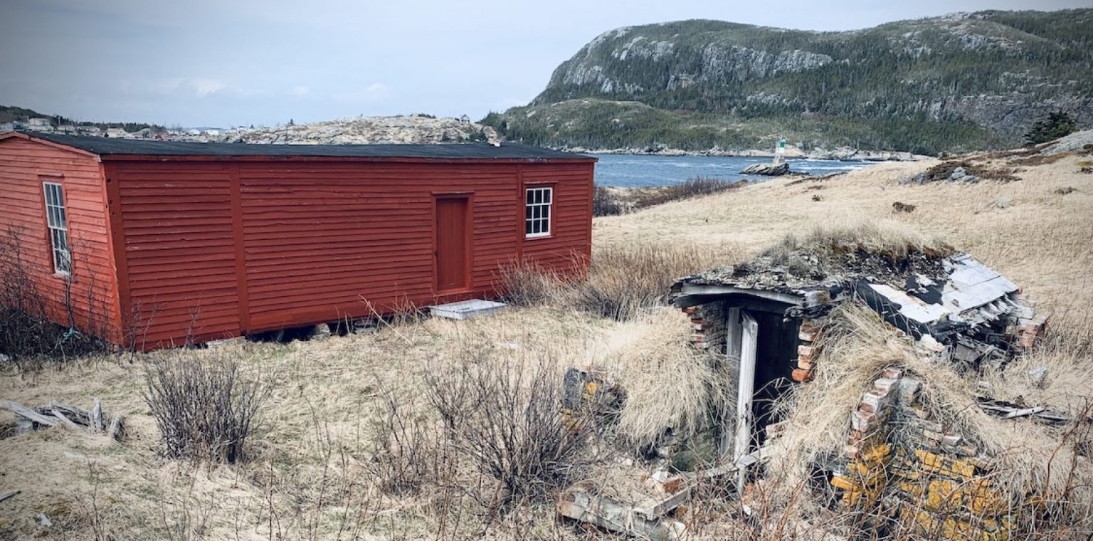 Newfoundland Bottled Beets – Ode to Newfoundland