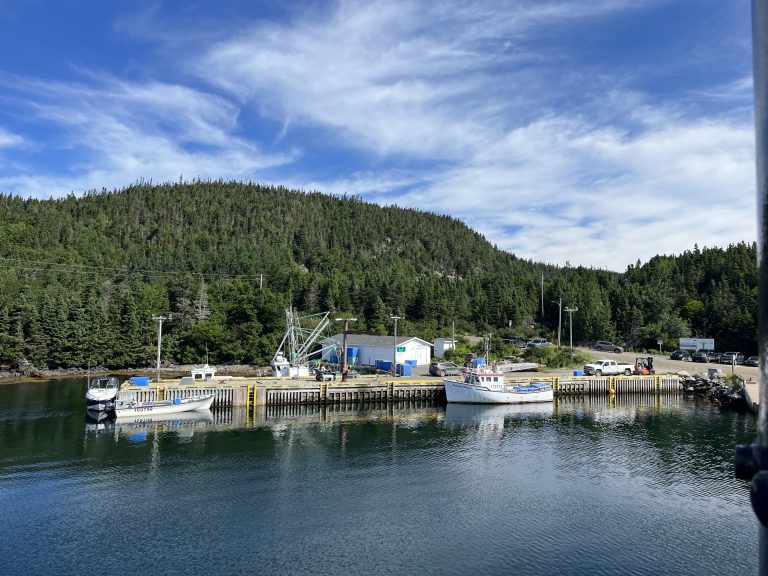 St. Brendan’s – Ode to Newfoundland